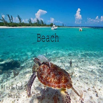 Beach story | PPTX