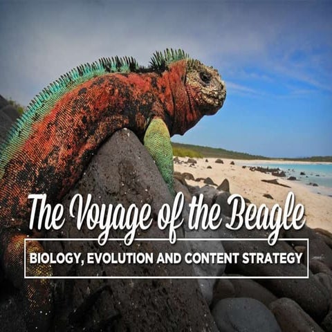 Voyage of the Beagle: Biology, Evolution, and Content Strategy | PPTX
