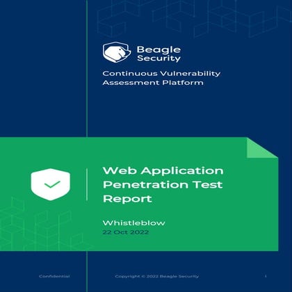 Penetration Test Report | PDF
