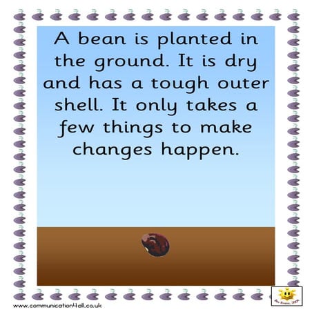 Bean flashcard set ( plants) | PDF
