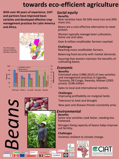 Production technology of French bean | PPTX