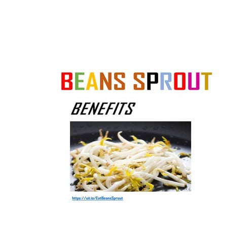Beans sprout | PDF