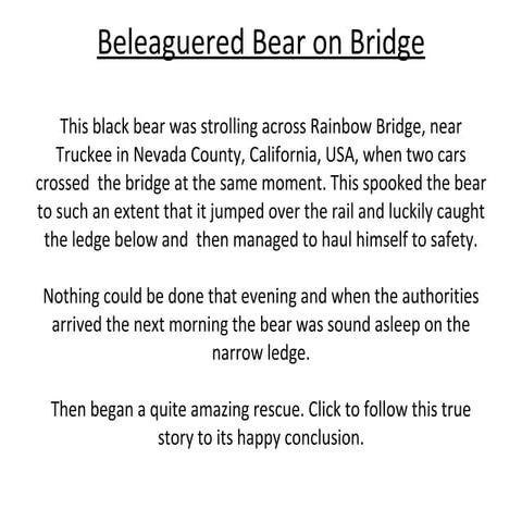 Bear Bridge 123 | PPT