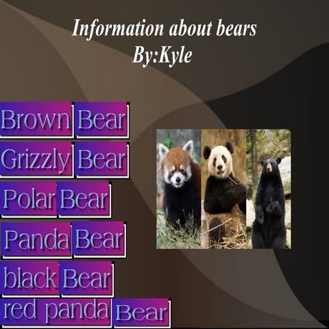 Bear history | ODP