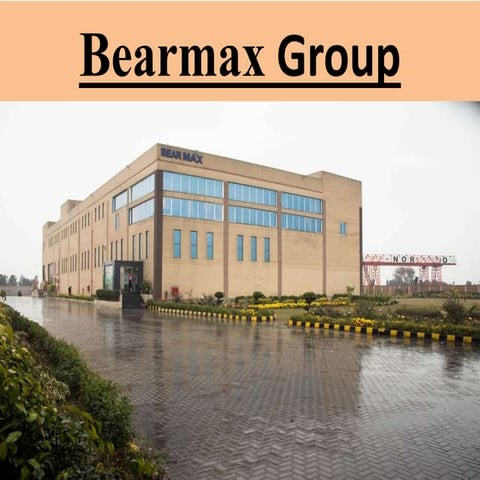 Bearmax group | PPTX