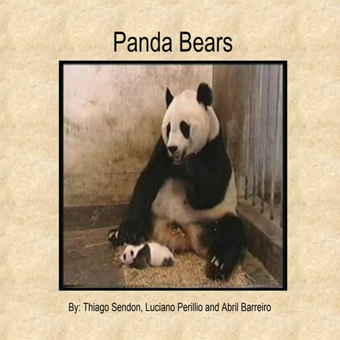 Thiago Sendon, Luciano Perillio and Abril Barreiro | PPT