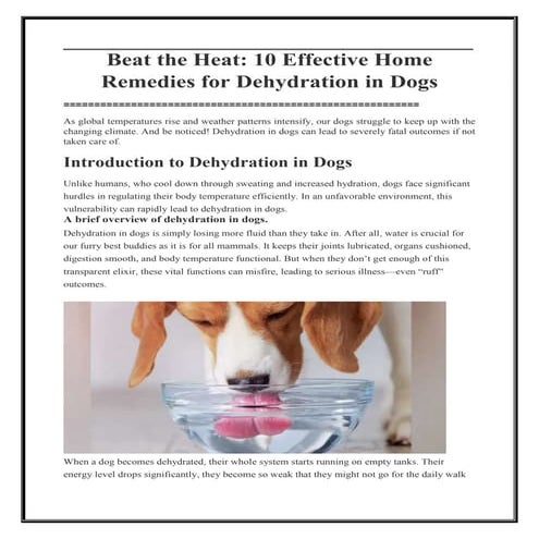 Beat the Heat: 10 Effective Home Remedies for Dehydration in Dogs.docx