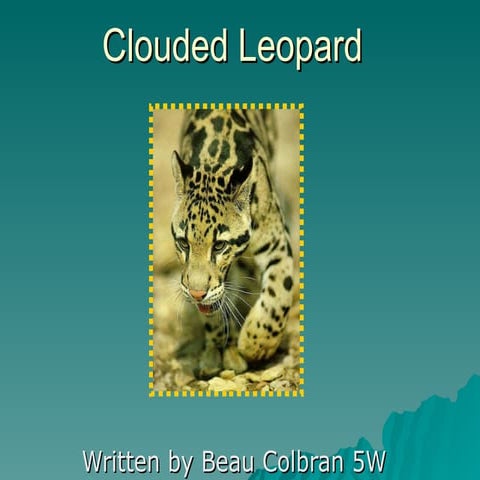 Clouded Leopard | PPTX