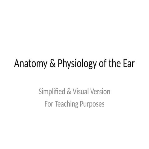 Beautified_Anatomy_of_Ear_Presentation.pptx