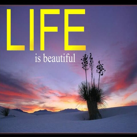 Beautiful Life | ODP