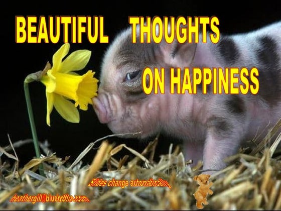 Happiness Quotient | PPT