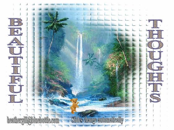 Life Of Red Panda Bears | PPT