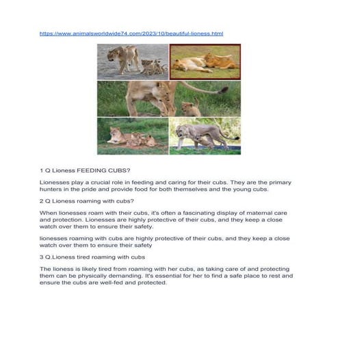 Beautiful Lioness .docx