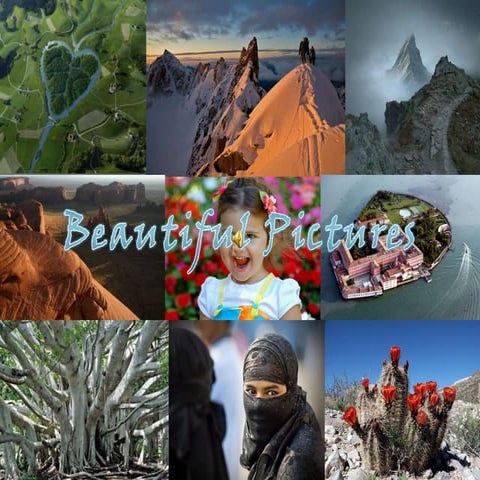 CSTB - Certificate | PDF