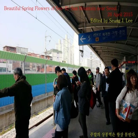 Beautiful Seo-ri-san spring flowers | PPTX