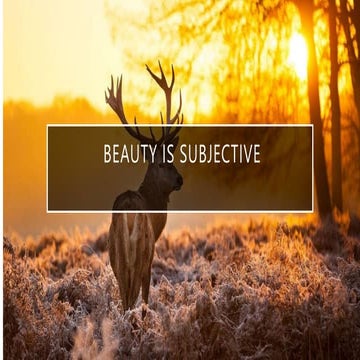 Beauty%20is%20subjective%20002.pptx fdggh | PPTX