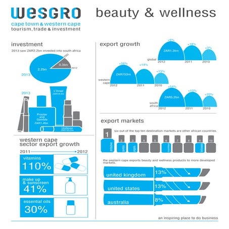 Beauty and wellness infographic | PDF