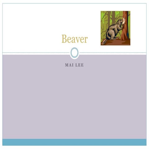 Beaver | PPT