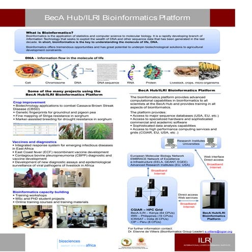 BecA Hub/ILRI Bioinformatics Platform | PDF | Genetics | Science