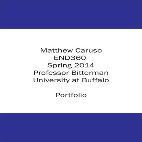 Matthew Caruso Portfolio | PDF