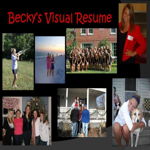 Visual resume | PDF