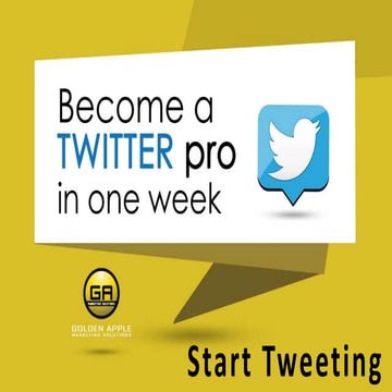 Twitter Brochure | PDF