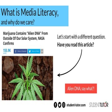Becoming Media Literate | PDF