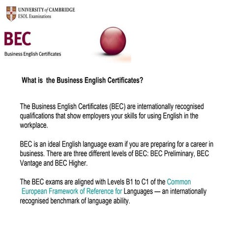 BEC TEST - PRESENTATION ON GENERAL ISSUES | PPT | Educational ...