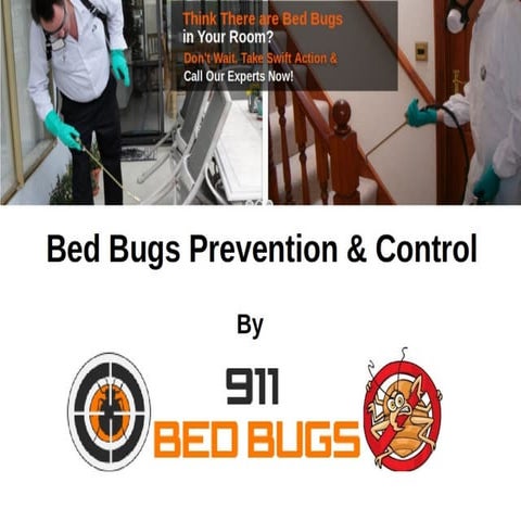 Bed Bugs Prevention & Control | PPT