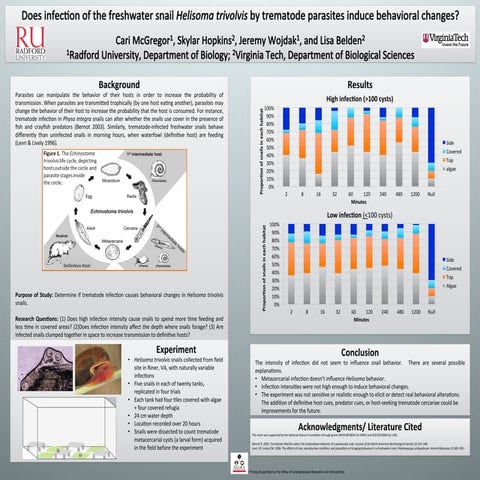 Two new species of Myxobolus (Myxozoa: Myxosporea) parasites of Barbus ...
