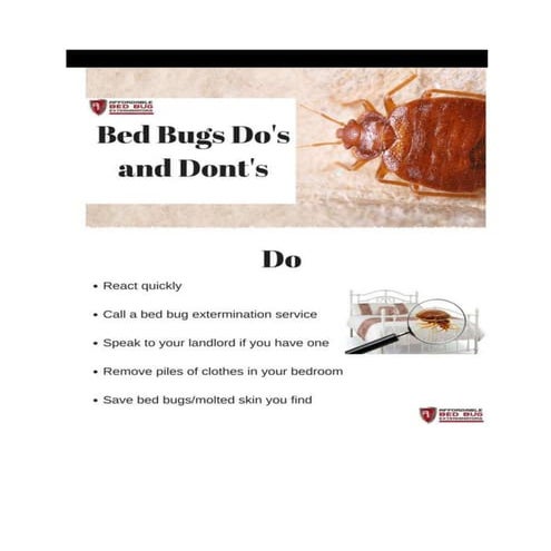 Bed Bug Do's and Dont's | DOCX