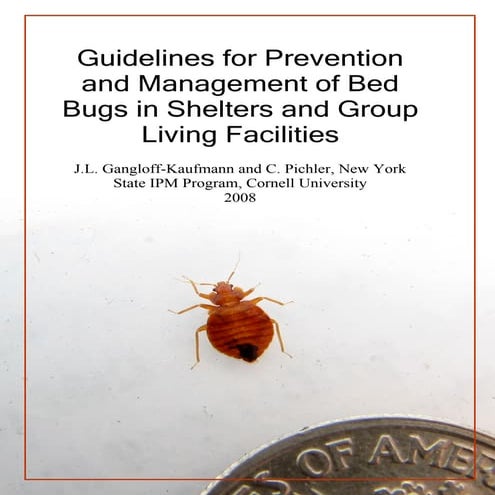 Bed bug guidelines for shelters and group living facilities | PDF | Agriculture | Industries