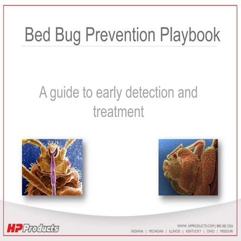 Bed bugs | PPT