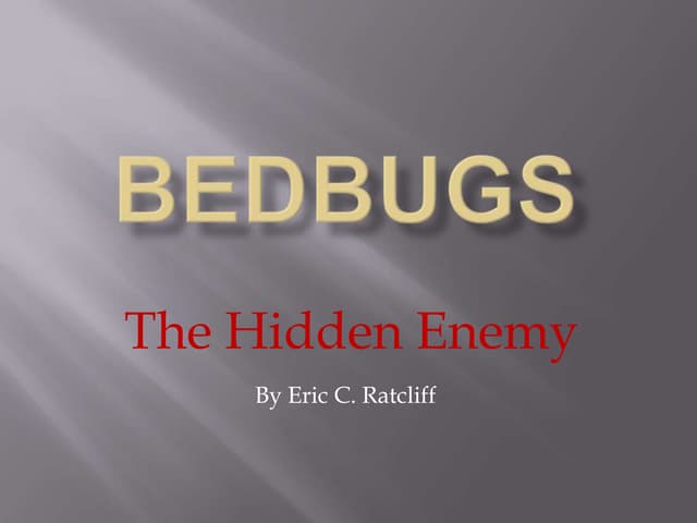 Bed bugs Presentation | PPTX