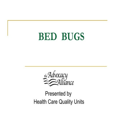 Bed bugs | PPT