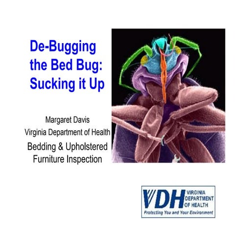 Understanding Bed Bugs Why Professional Bed Bug Inspection Is Crucial
