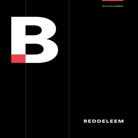 Beddeleem corporate nl | PDF