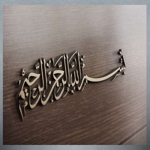 Bed & furrow irrigation | PPTX