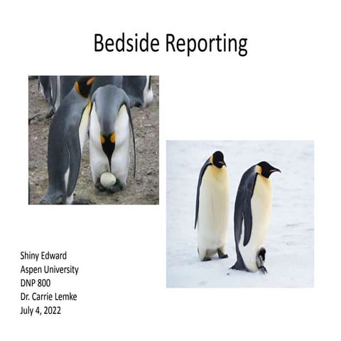 Bedside Reporting.pptx
