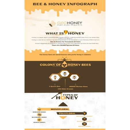 Bee and honey Infographic | PDF
