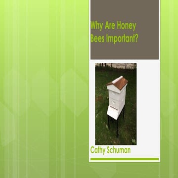 Bee-Presentation.pdf