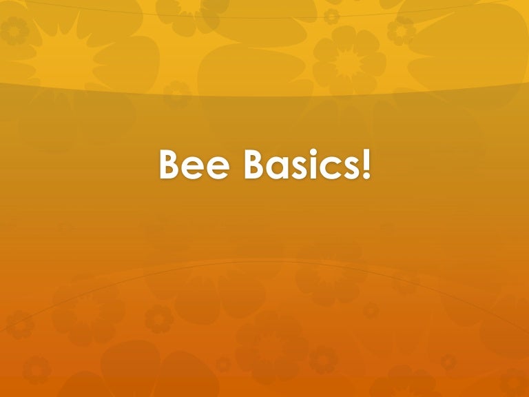 Bee Basics