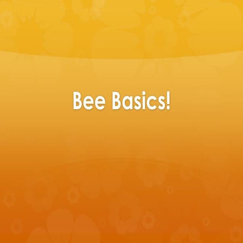 Bee Basics | PPT