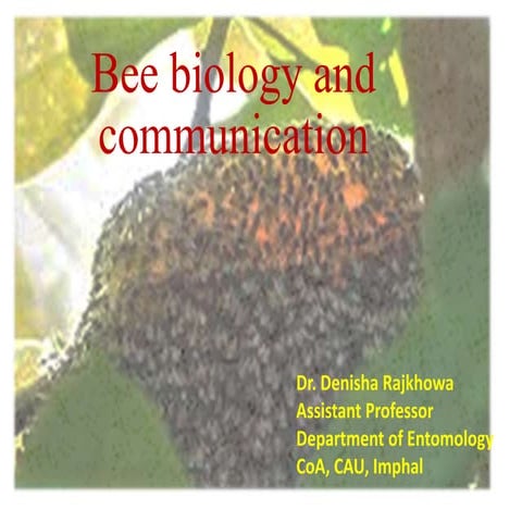 Bee biology and communication.pptx