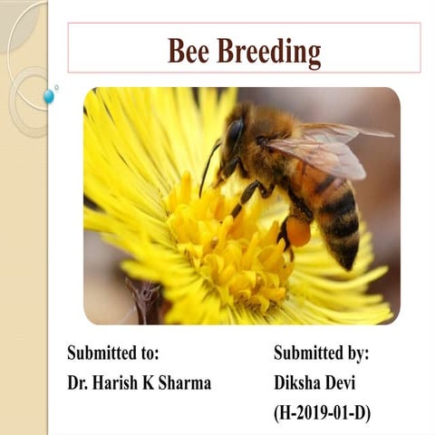 honey Bee Breeding methods and process.pptx