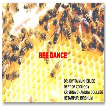 bee communication dance.pdf how the communicate with each other | PDF