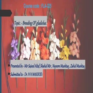 Beeding Gladiolus by zahid mushtaq .pptx