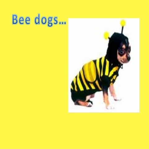 Bee dogs | PPT