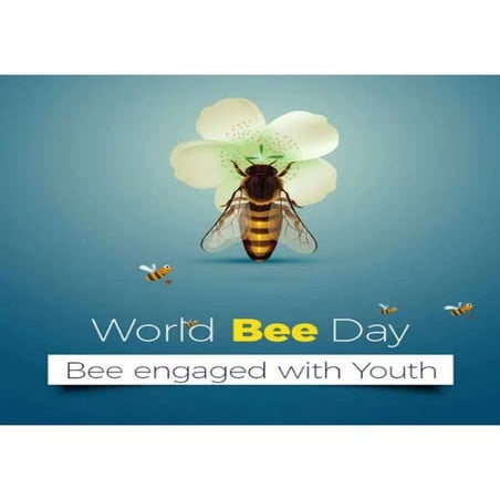 bee engaged with youth - World Bee Day 2024 | PDF