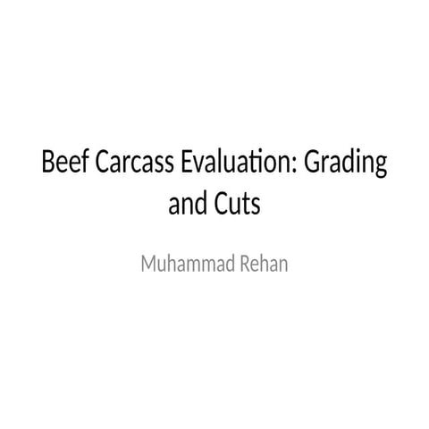Beef_Carcass_Evaluation_Presentation.pptx
